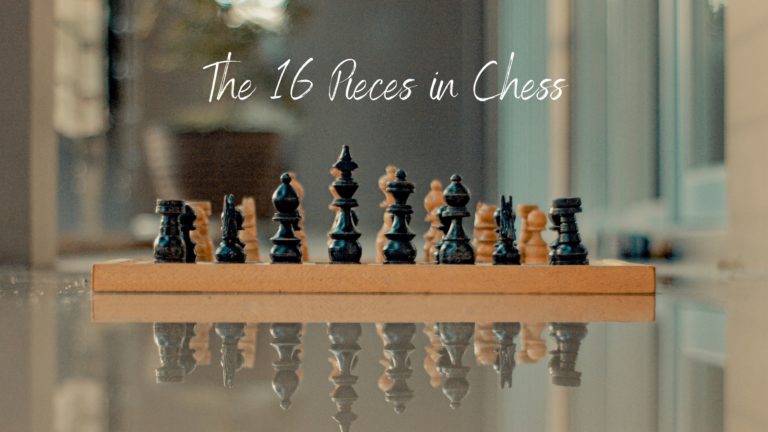 The 16 Pieces In Chess - Names, Moves and Values | CHESS KLUB