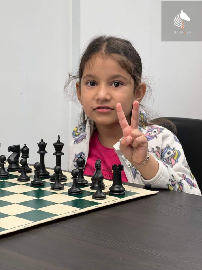 Online Chess Coaching for Students with Personalized Attention